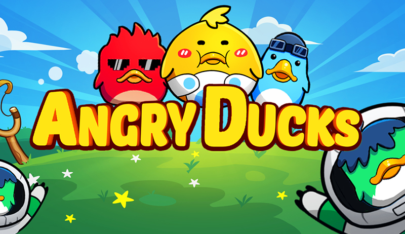 Angry Ducks